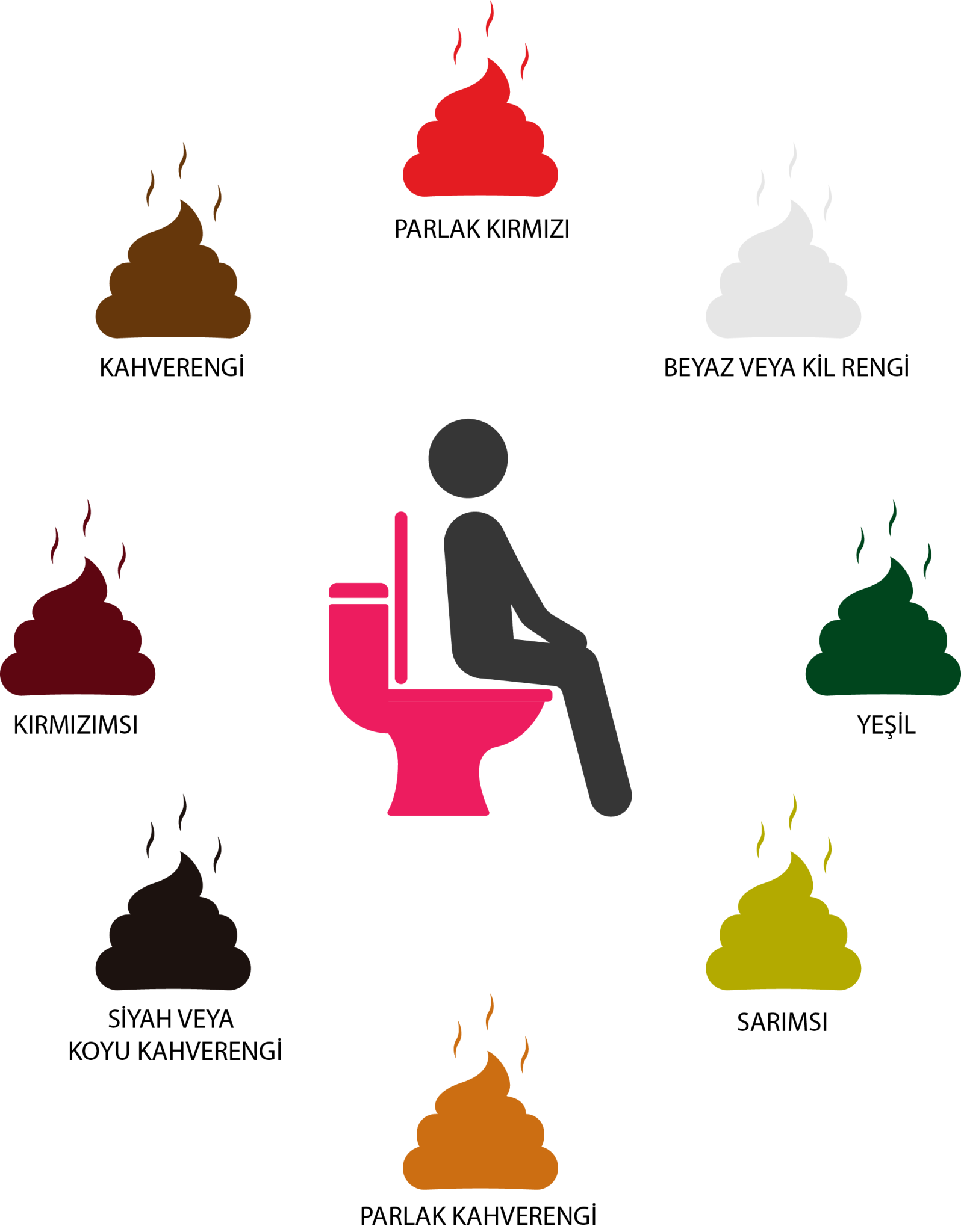 Dışkı Rengi, Şekli Ve Kokusu Neyi Belirtir?